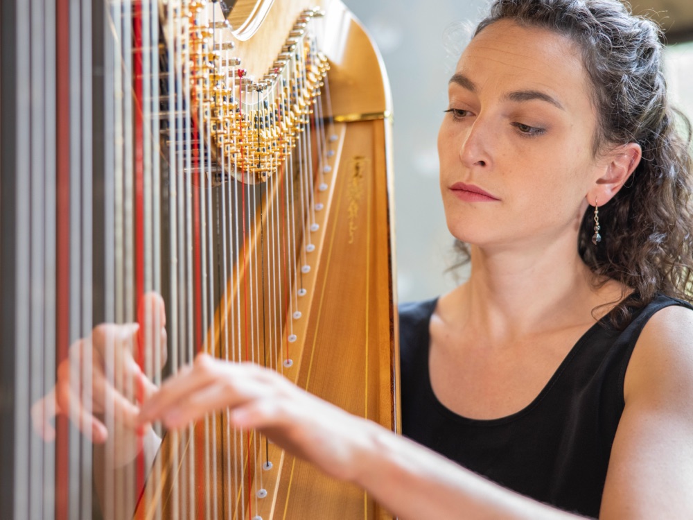 Venue hire | Gregynog