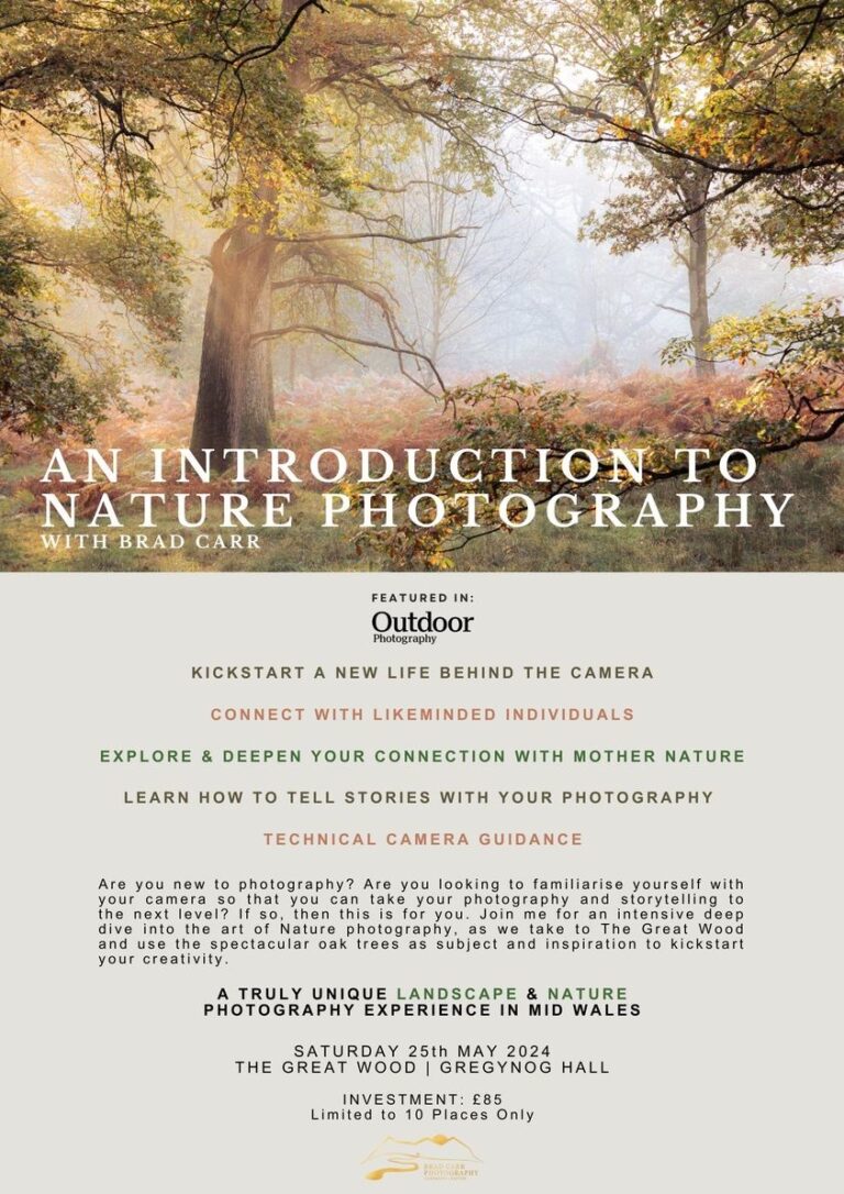 An Introduction to Nature Photography with Brad Carr | Gregynog