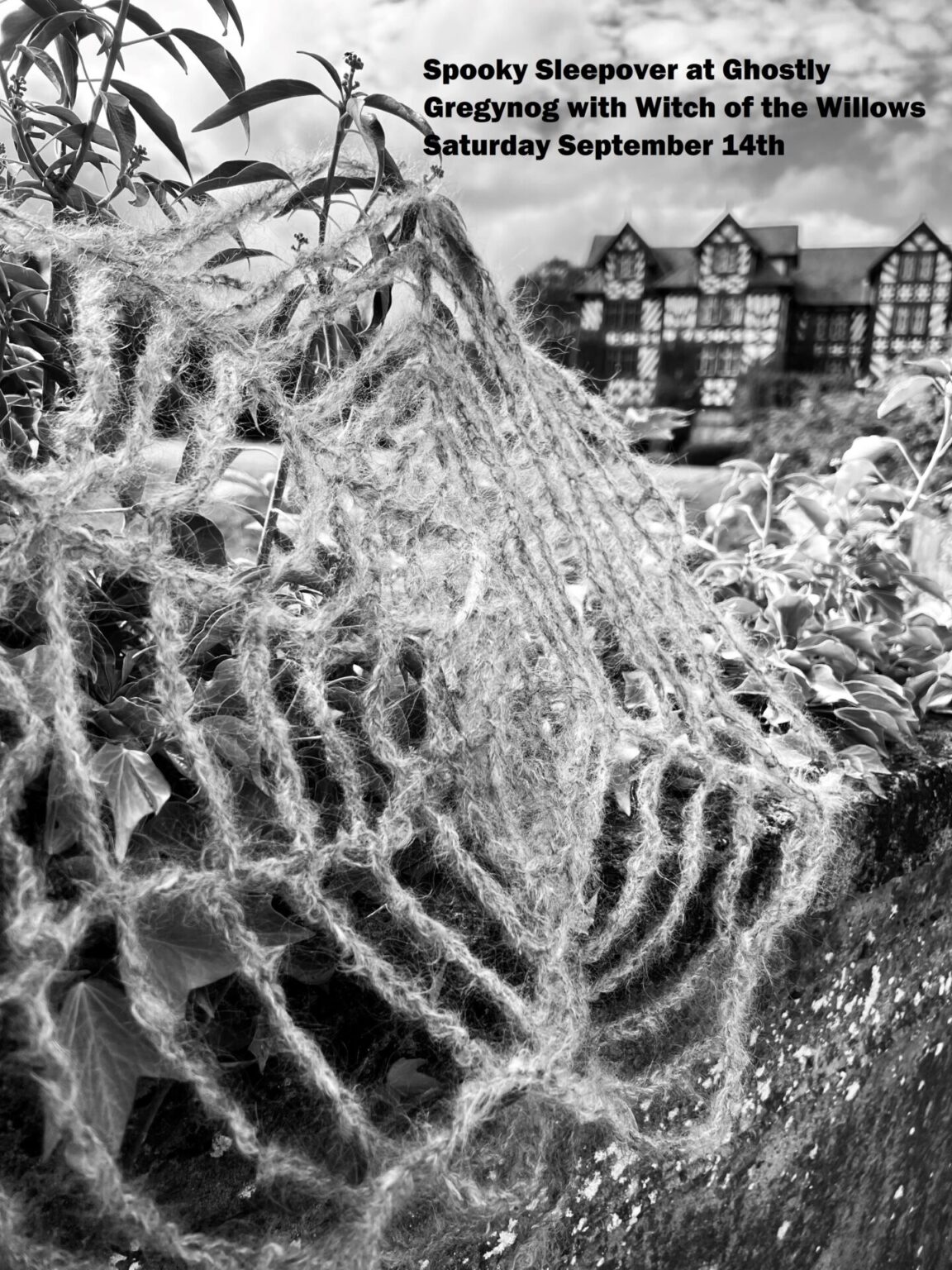 Spooky Sleepover with Witch of the Willows | Gregynog