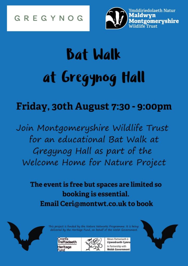 Bat Walk with Montgomeryshire Wildlife Trust - SOLD OUT! | Gregynog