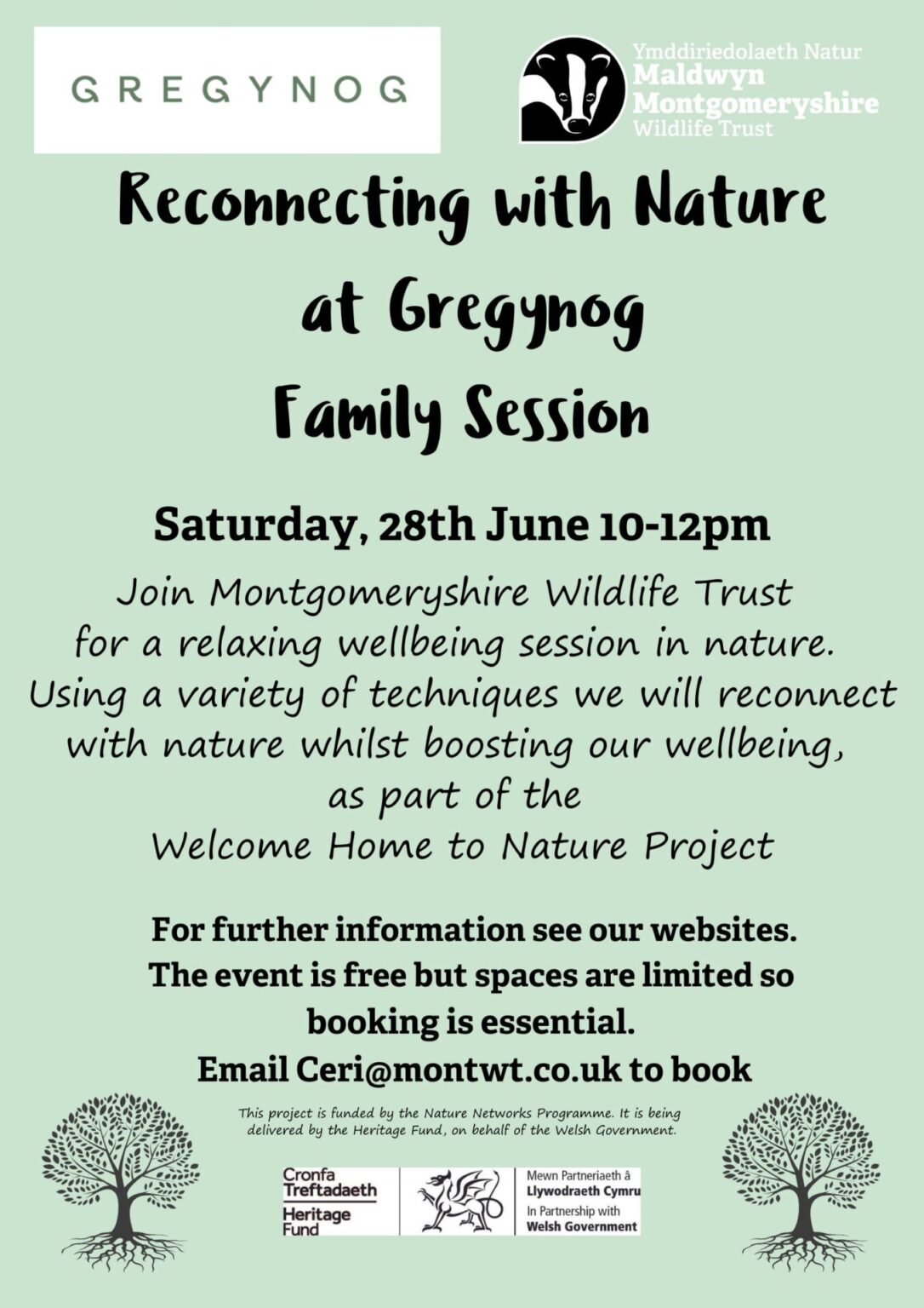 Reconnecting with Nature - Family Session | Gregynog