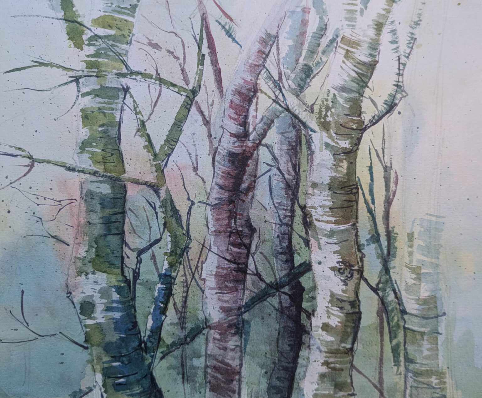 'Painting Autumn Trees in Watercolour' with Amanda Caldwell | Gregynog